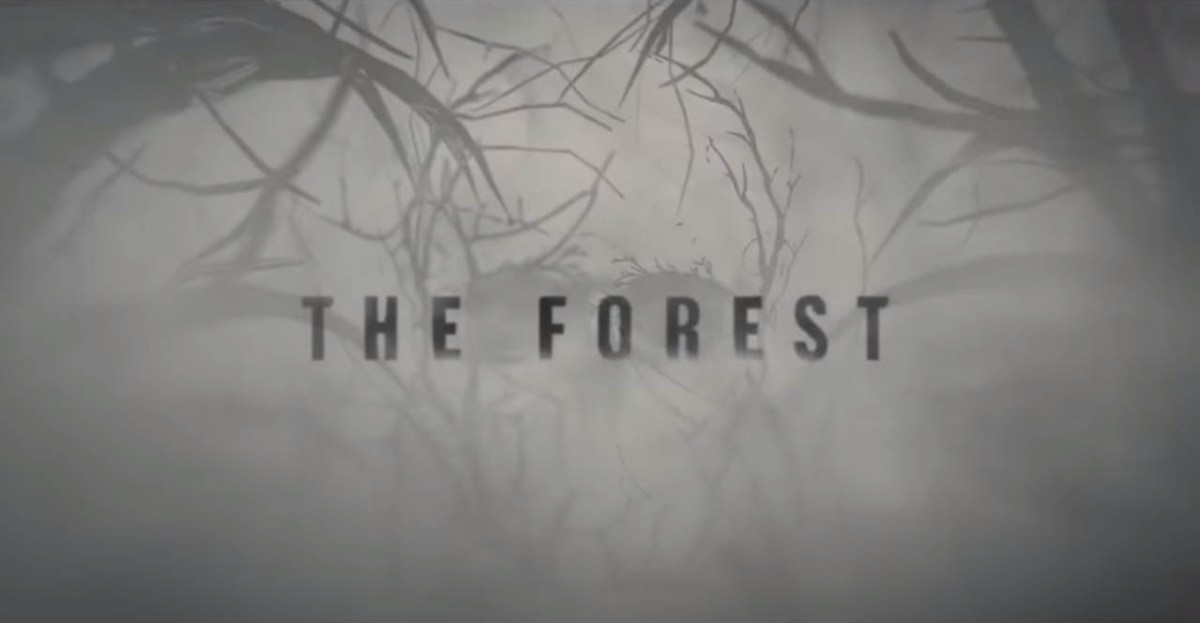 ‘The Forest’ (2016): The Aokigahara Forest – Sparx Entertainment